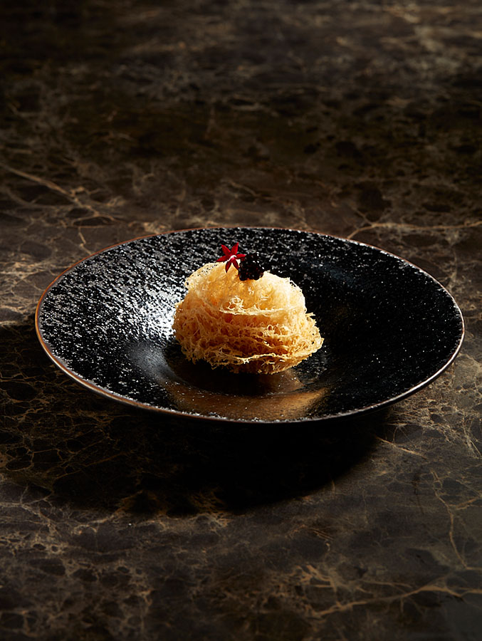 Fine Cantonese Cuisine Dining in Singapore | 黑珍珠 The Black Pearl